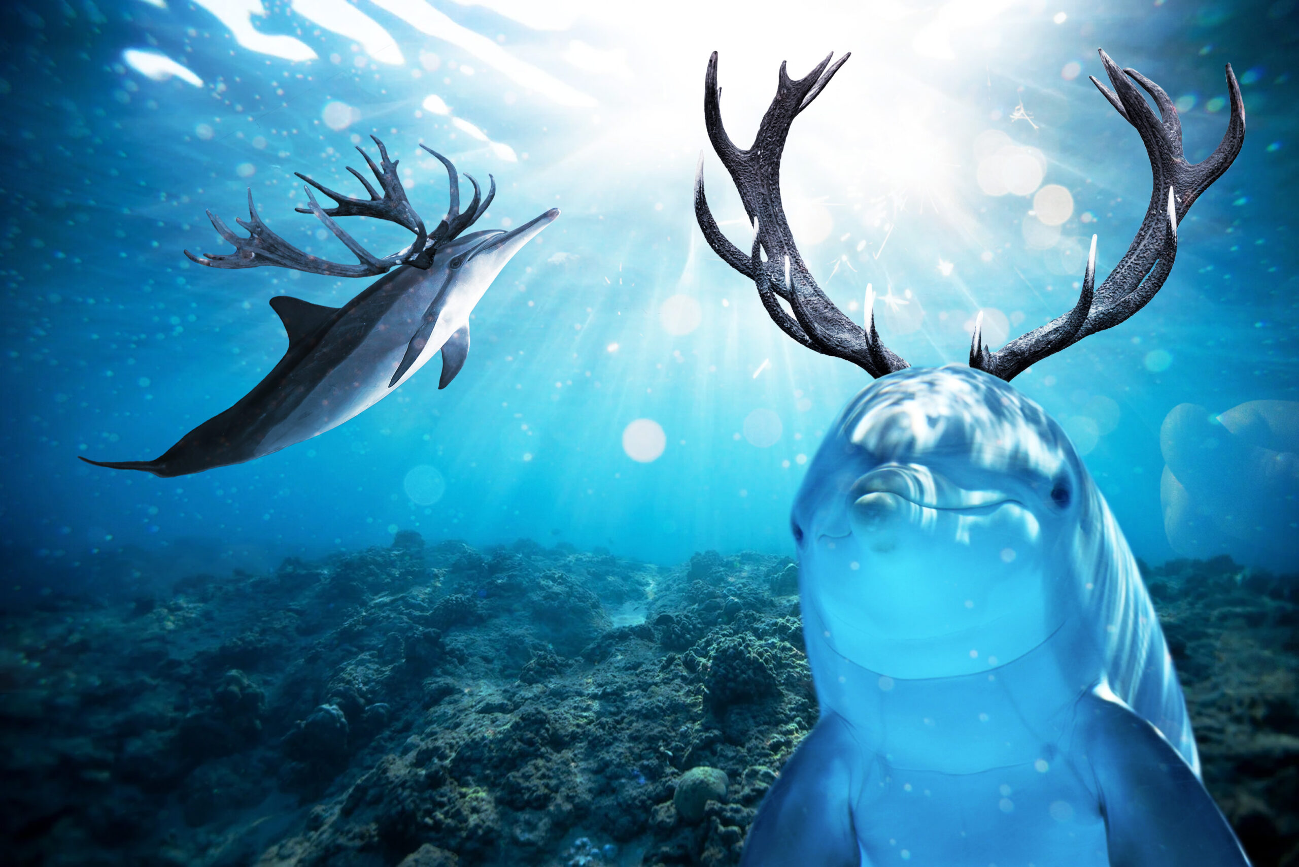 Laura Kühnell – Photoshop Word Challenge – Portfolio 2023